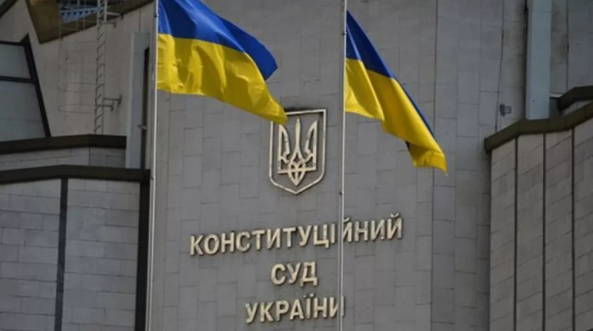 Constitutional Court Recognizes Responsibility For False Declaration ...
