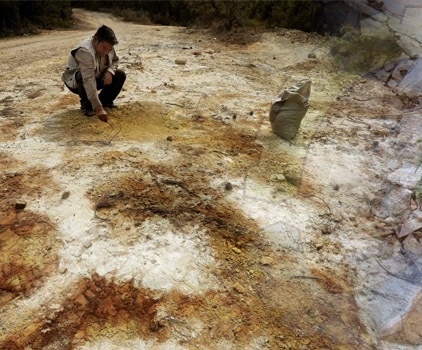 Chinese scientists innovate remediating cadmium-contaminated water ...