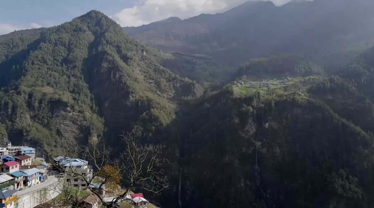 Researchers map high-resolution alpine treeline in Himalayas ...