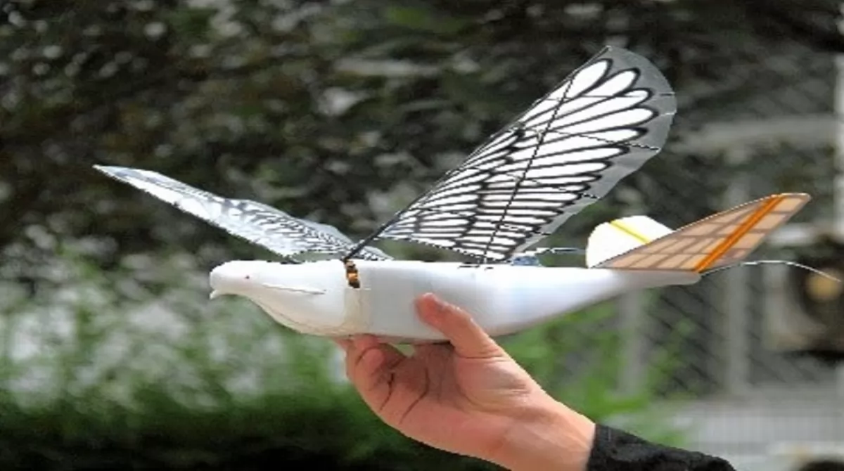 Chinese university develops long-duration bionic flight vehicle ...