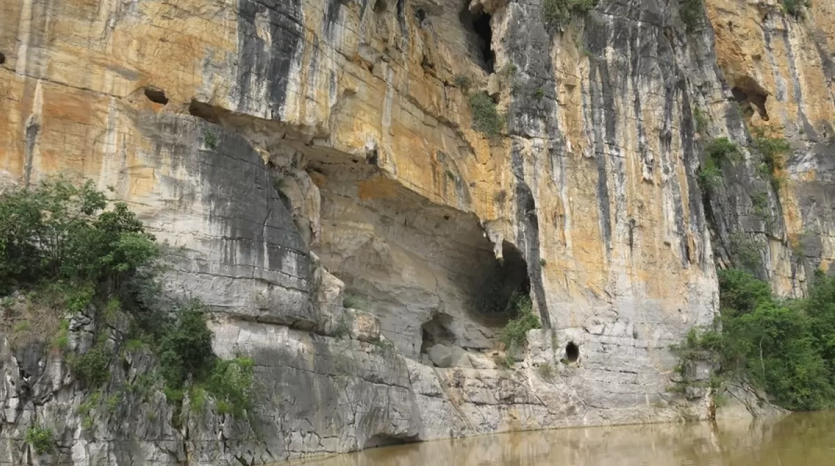 Prehistoric snake bones discovered in south China | Ukrainian news