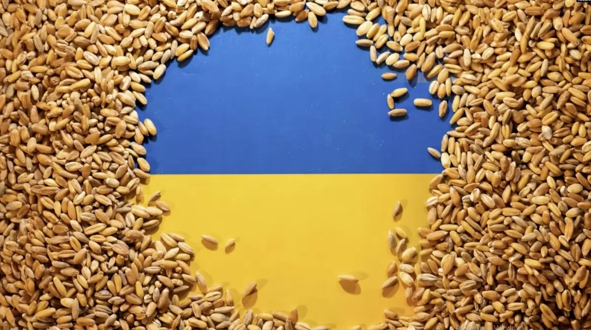 Ukraine boosts grain exports by 61% to 7 million tons since early ...