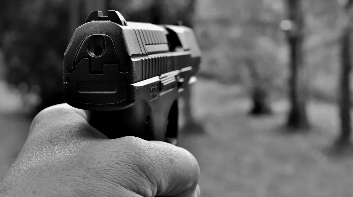 Firearms in Ukraine legalized, but rules for their circulation need to ...
