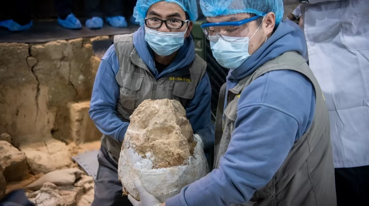 Human ancestors came through survival crisis 900,000 years ago: study ...