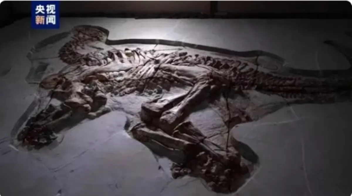 Dinosaur fossils dating back 130 mln years found in China's Hebei ...