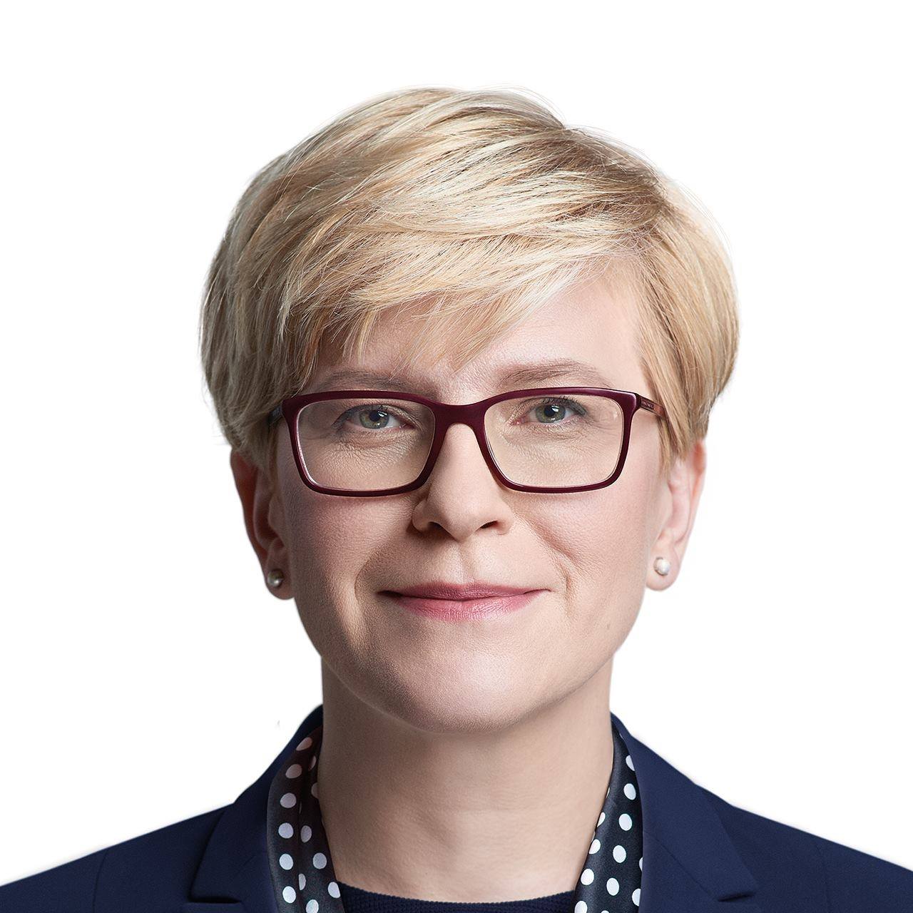 EU family is incomplete without Ukraine. Prime Minister of Lithuania ...