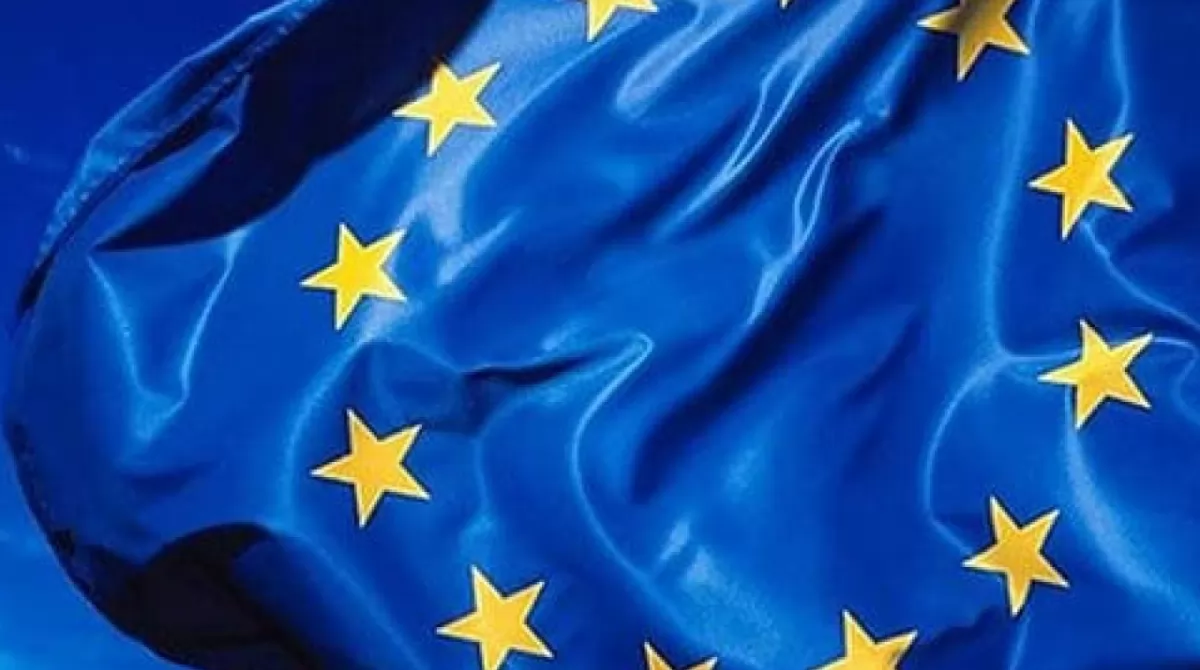 Five EU countries propose to limit voting rights for new members of ...