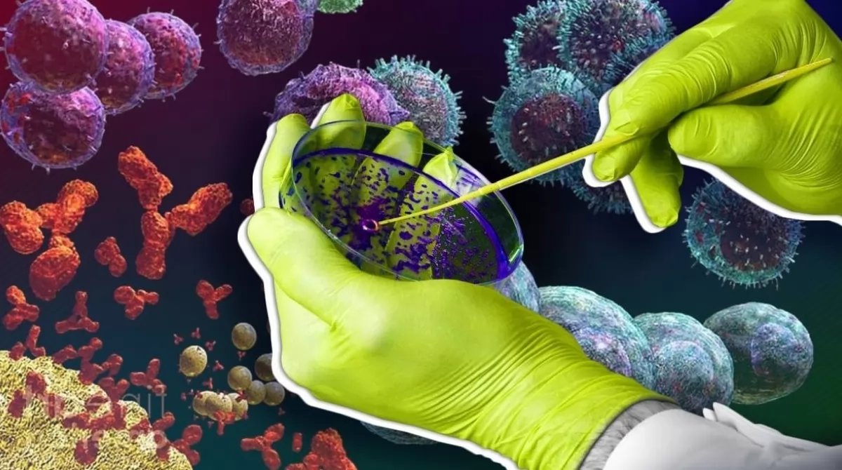 Scientists study microbial resources for industrial applications ...