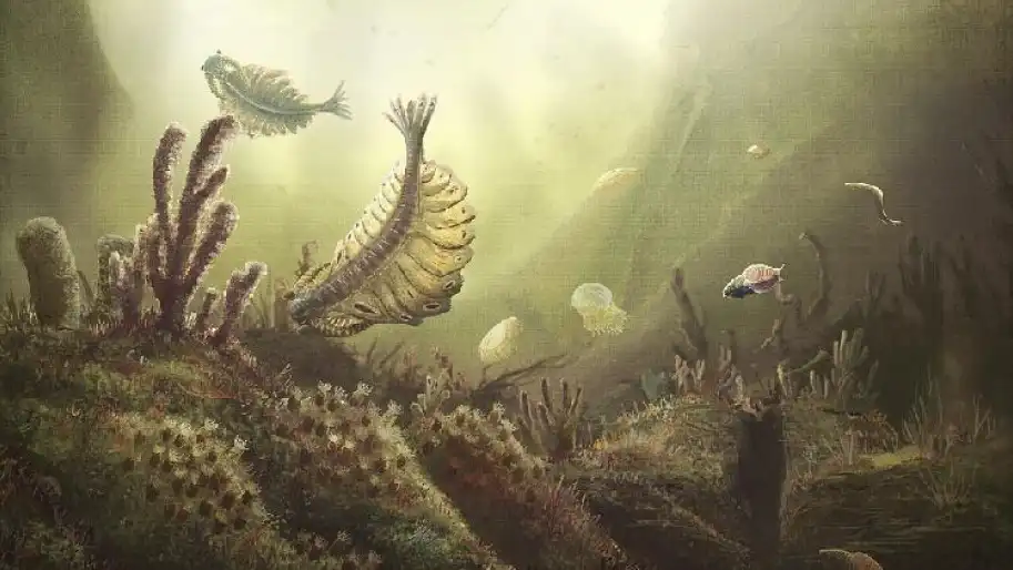 Chinese researchers unveil key factors of Cambrian Explosion of life ...