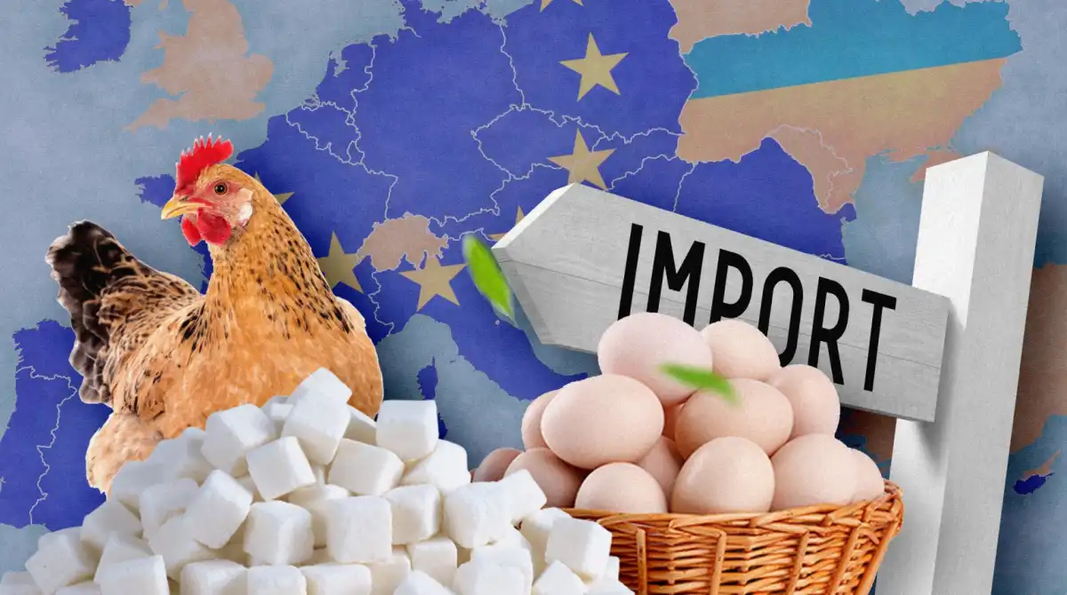 4 EU countries reduce food imports from Ukraine by 43% | Ukrainian news