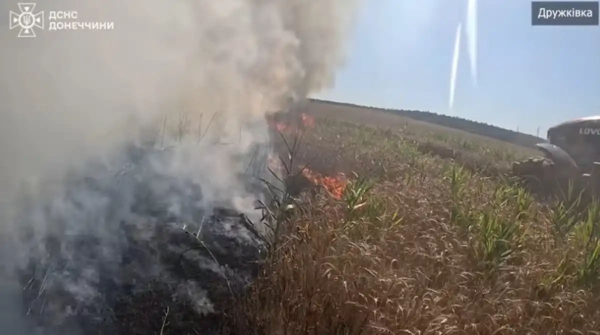 Enemy trying to leave Ukrainians without bread, Donetsk Region losing ...