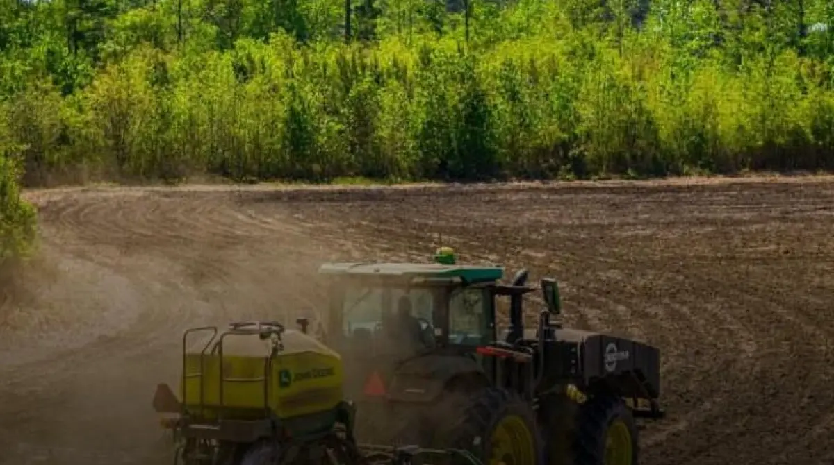 Spring sowing campaign starts later, but without risks for food ...