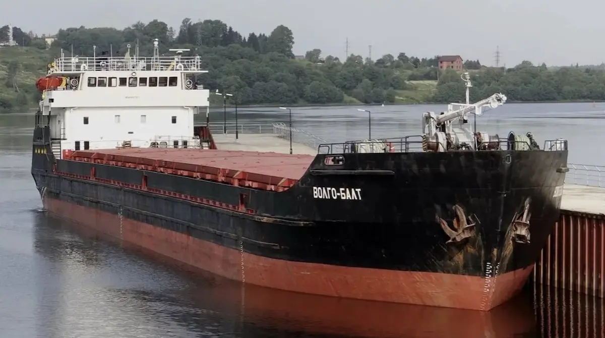Russian bulk carrier sinks in Sea of Azov. Occupants claim it was under ...