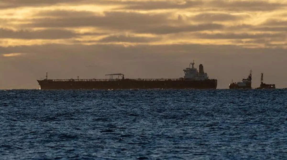 Sweden detains bulk carrier from russia, suspected of marine pollution ...